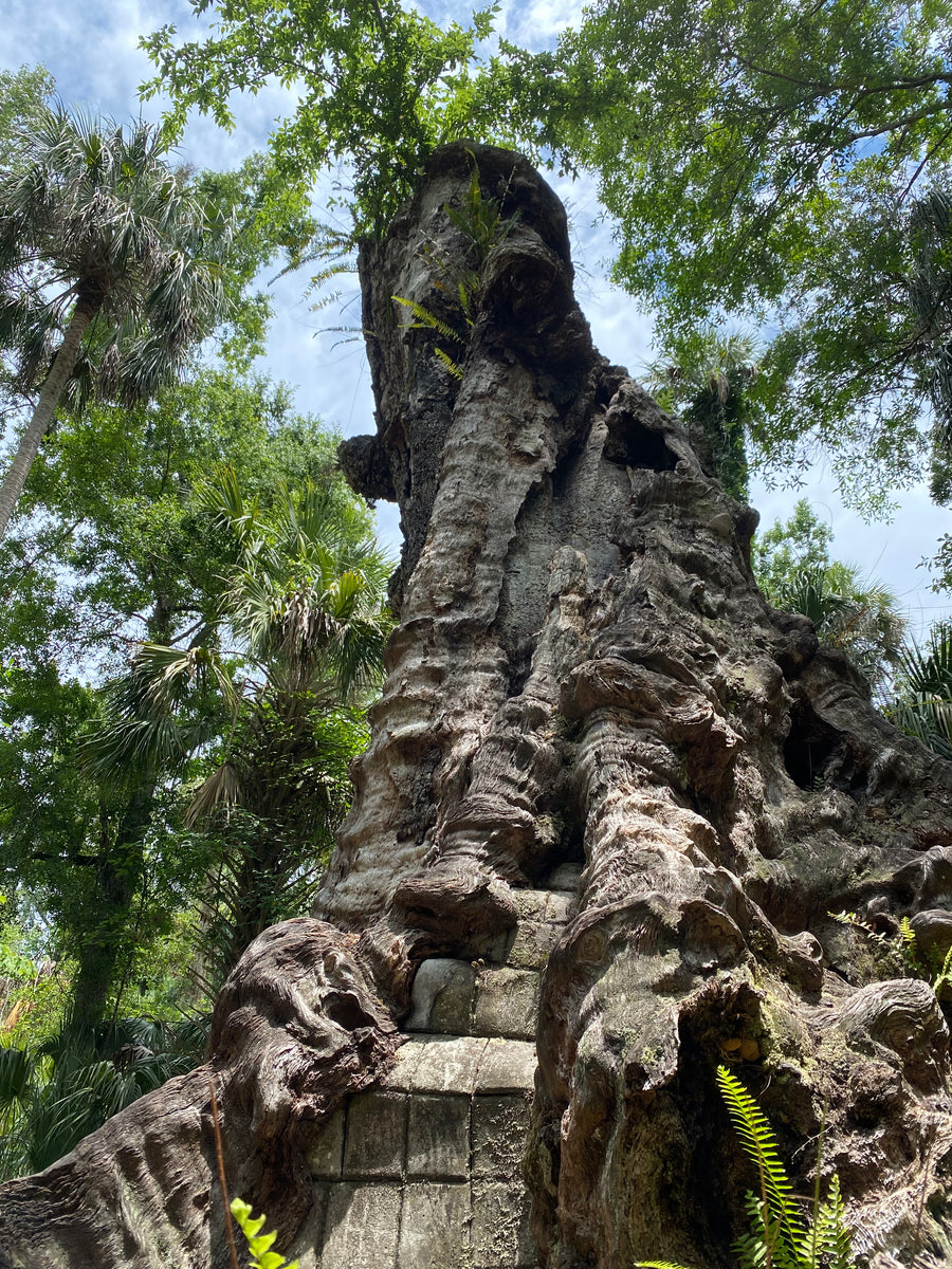 Ancient Hammocks of Florida Art – Ally Bee Design