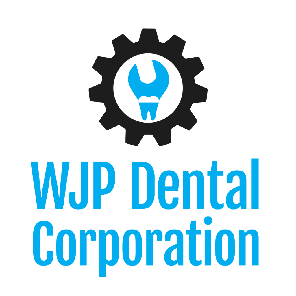 Boutique Branding Agency x Art Studio | Ally Bee Design SoFlo USA